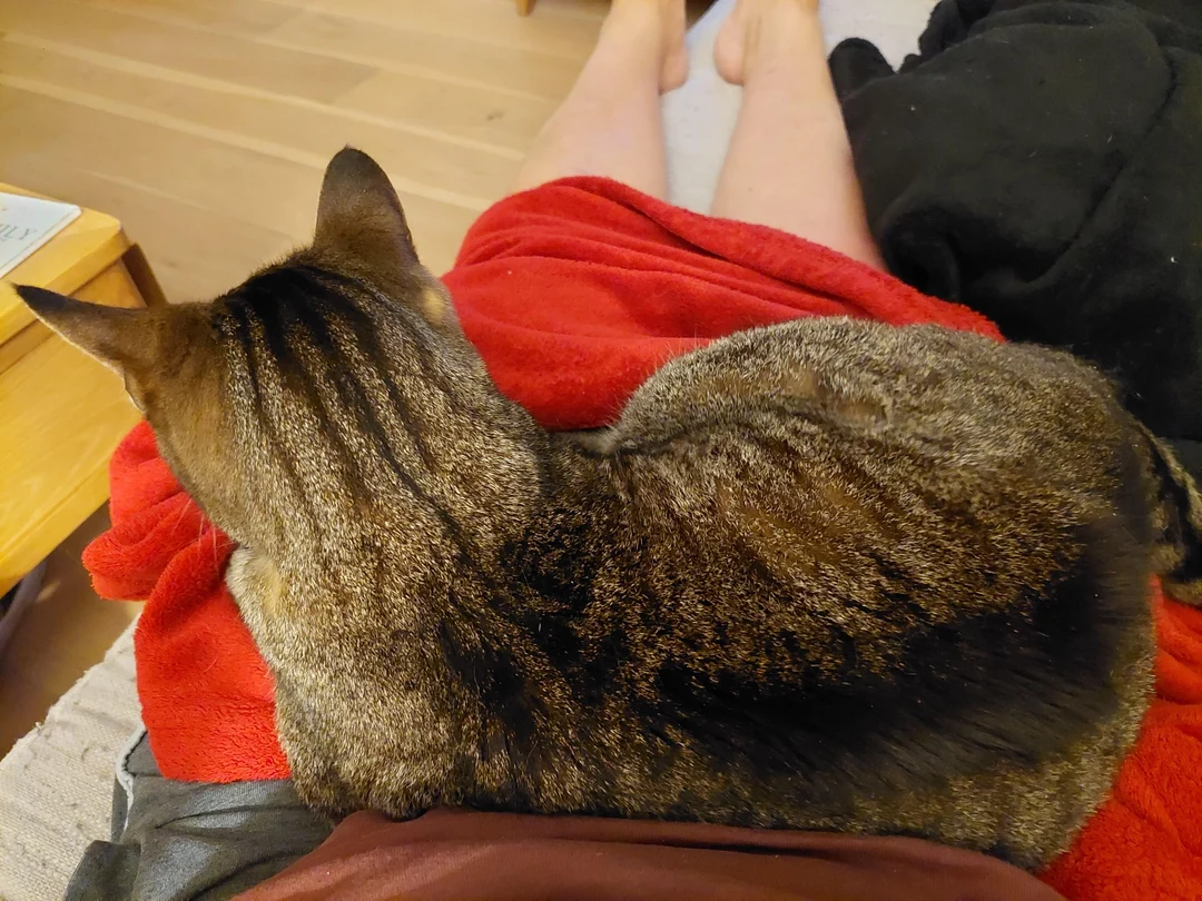 Who is trapped? | Scrolller