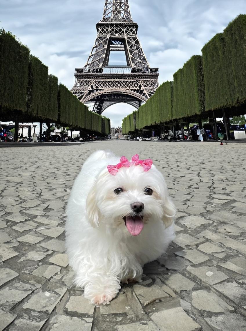 Diva on Vacation | Scrolller