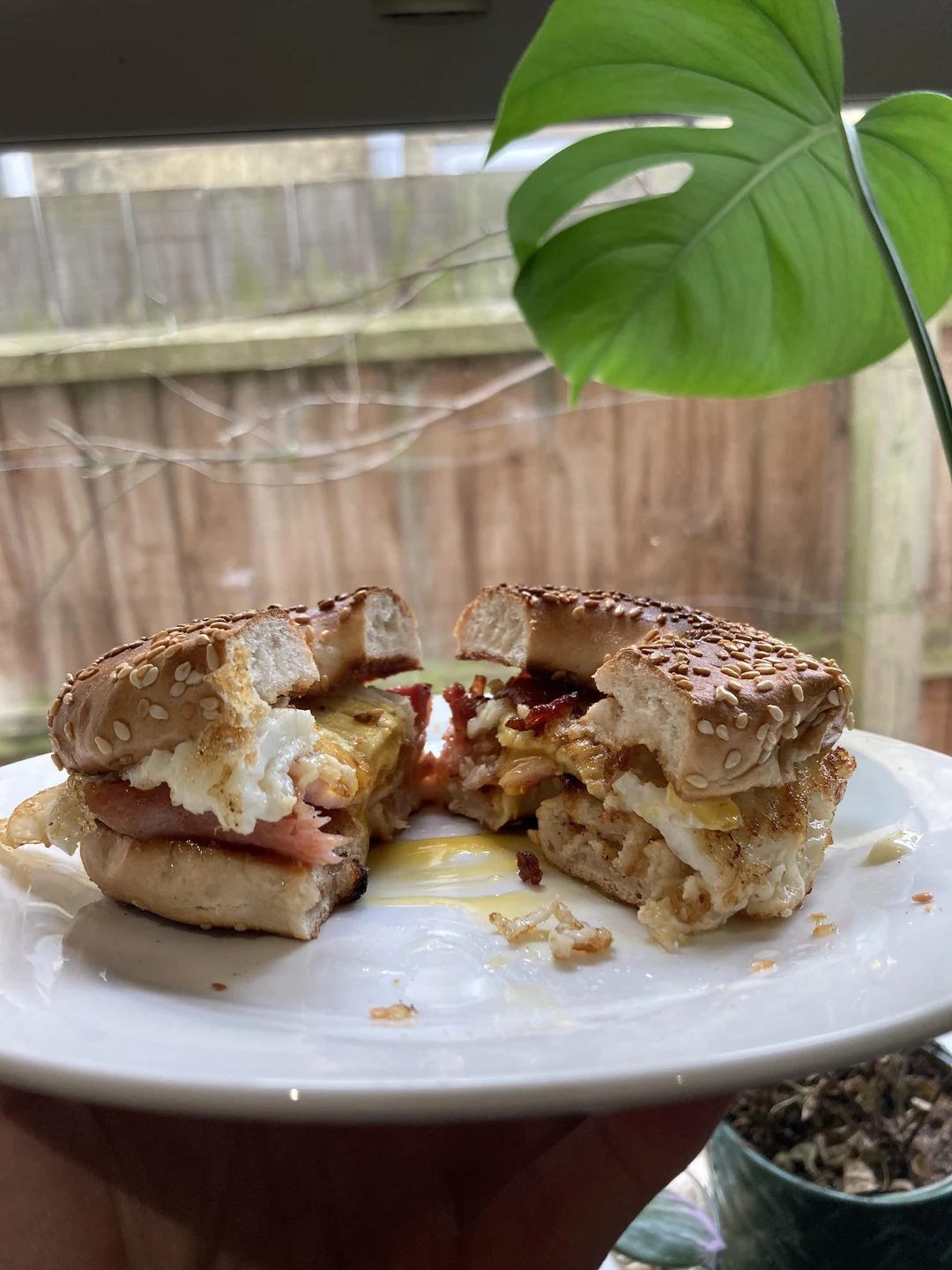 Discover more like Eatsandwiches: Oh she’s a beaut, can’t not love breakfast bagel and Related ...