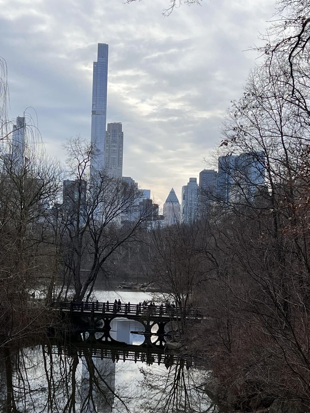 New York | Scrolller