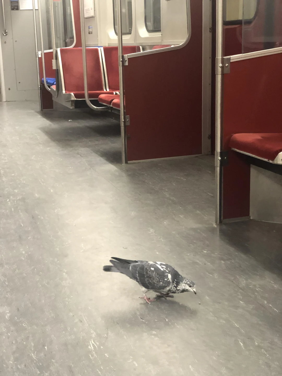 a lucky commuter finding food | Scrolller