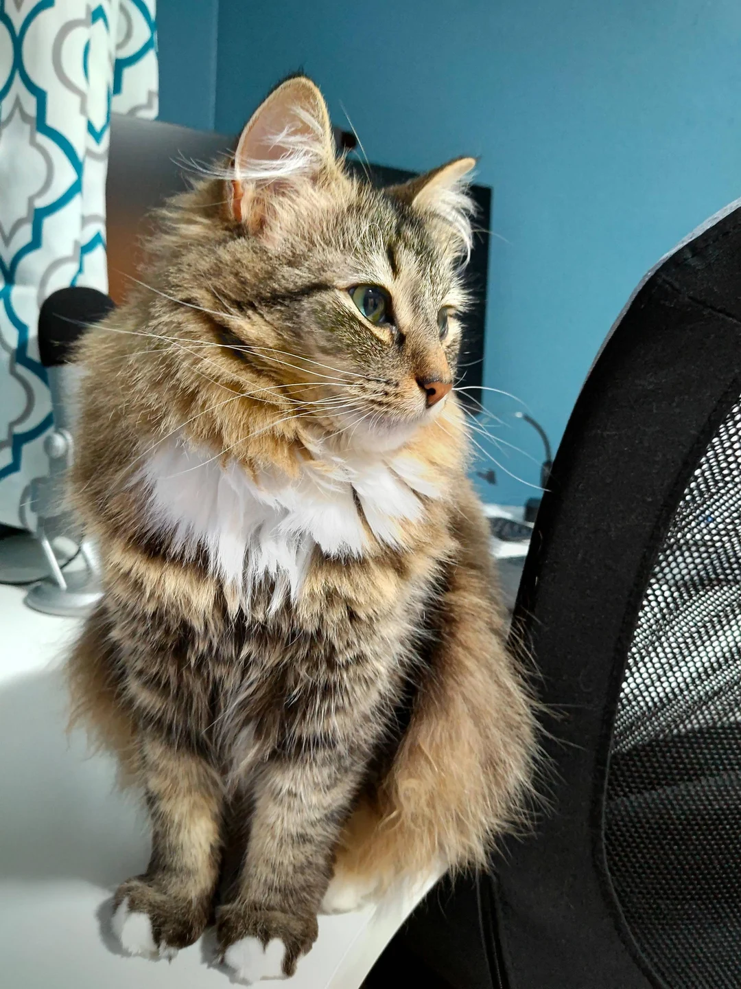 Yekaterina looks amazing in her winter coat | Scrolller