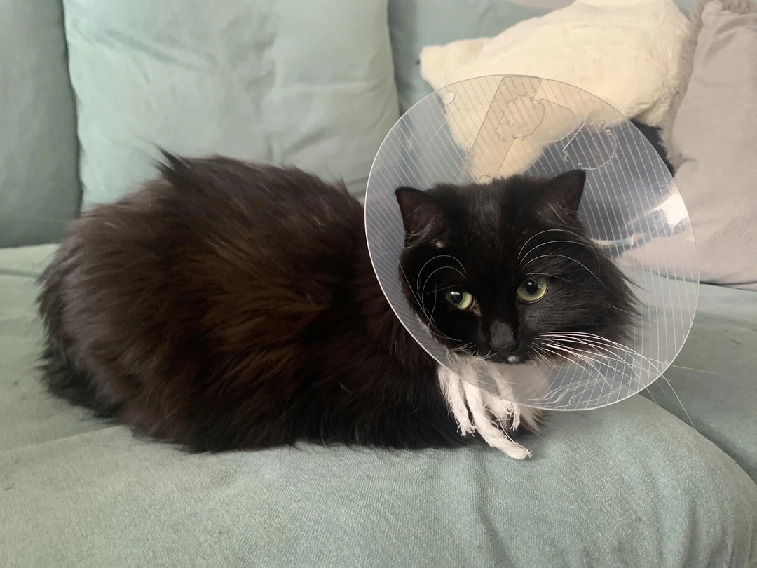 Even sick she makes the best loaf | Scrolller