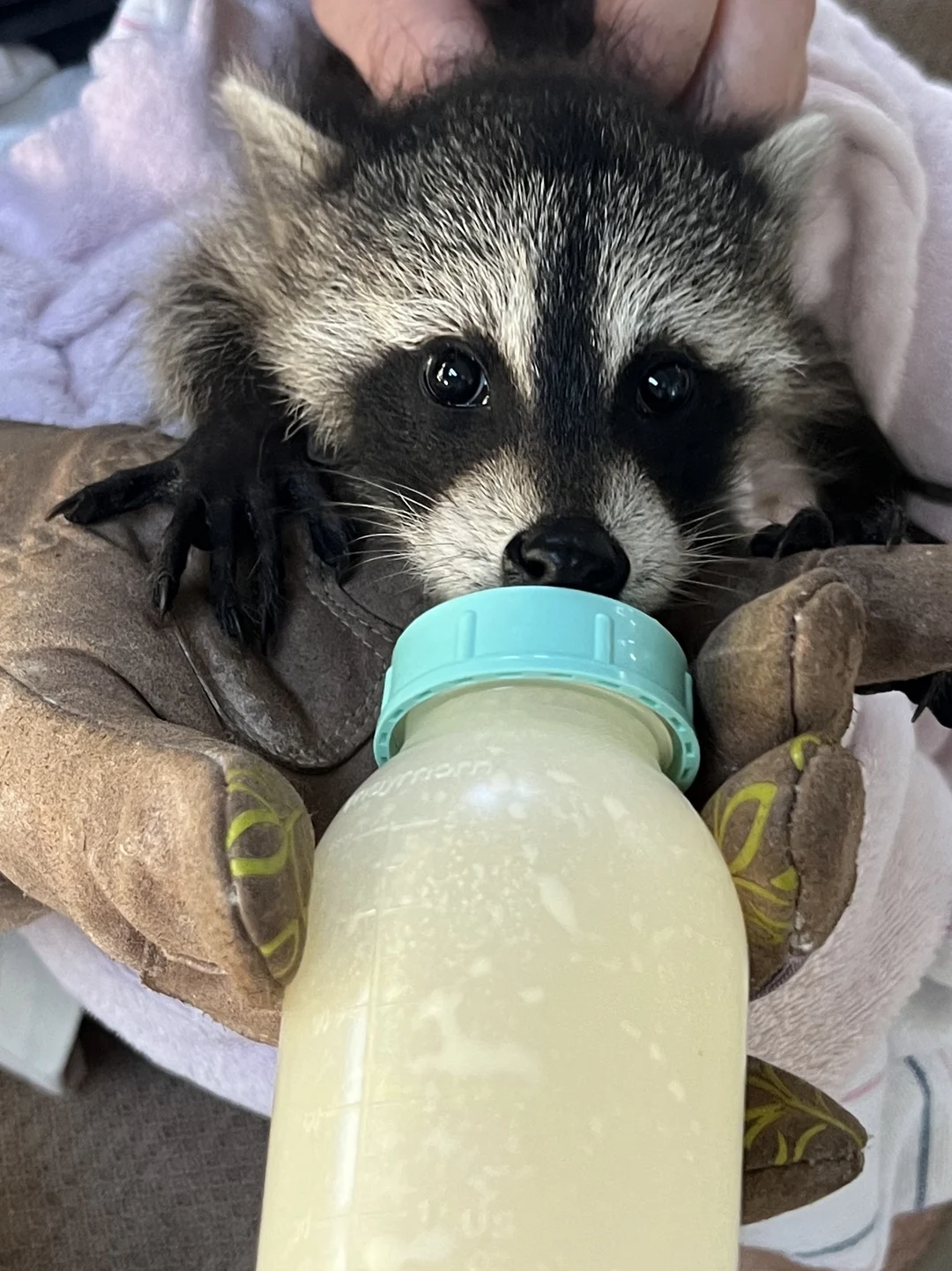 Feeding time… | Scrolller