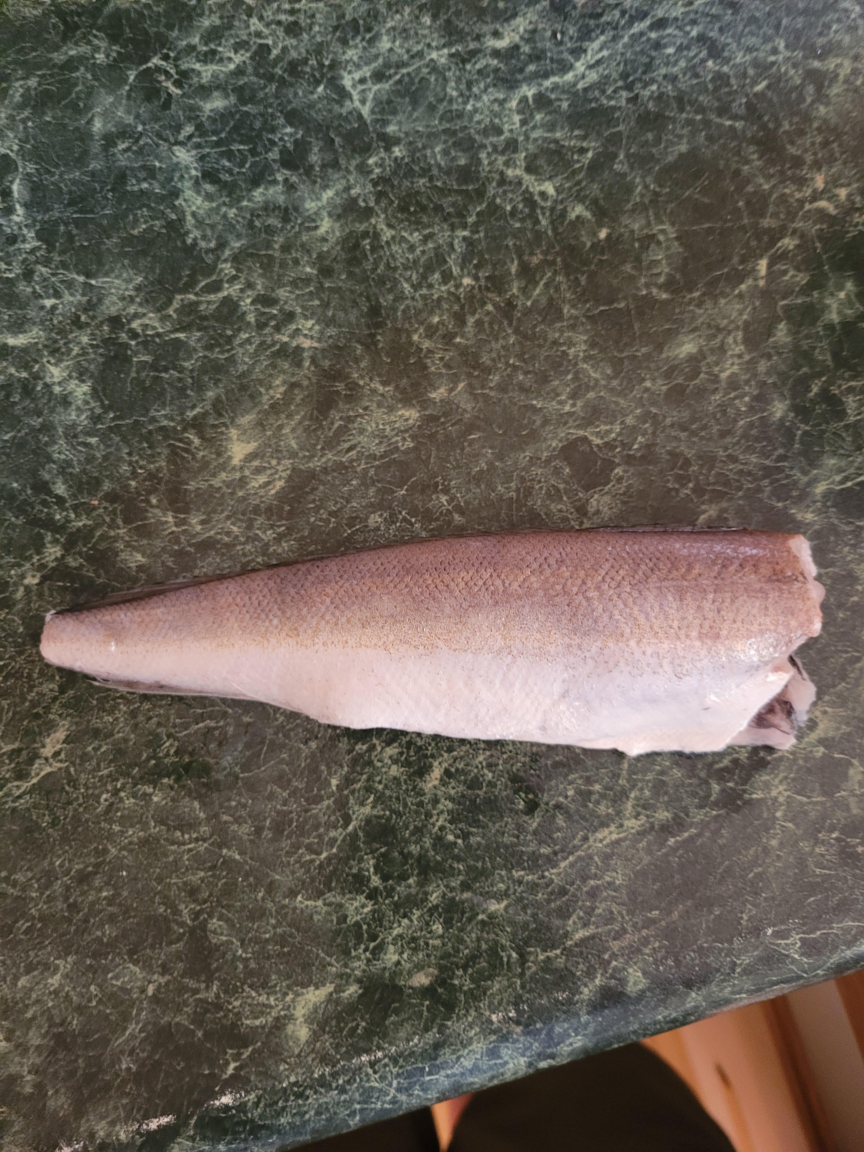 Are these 2 different types of fish? theyre apparently Merluccius Bilinearis, whiting from NW ...