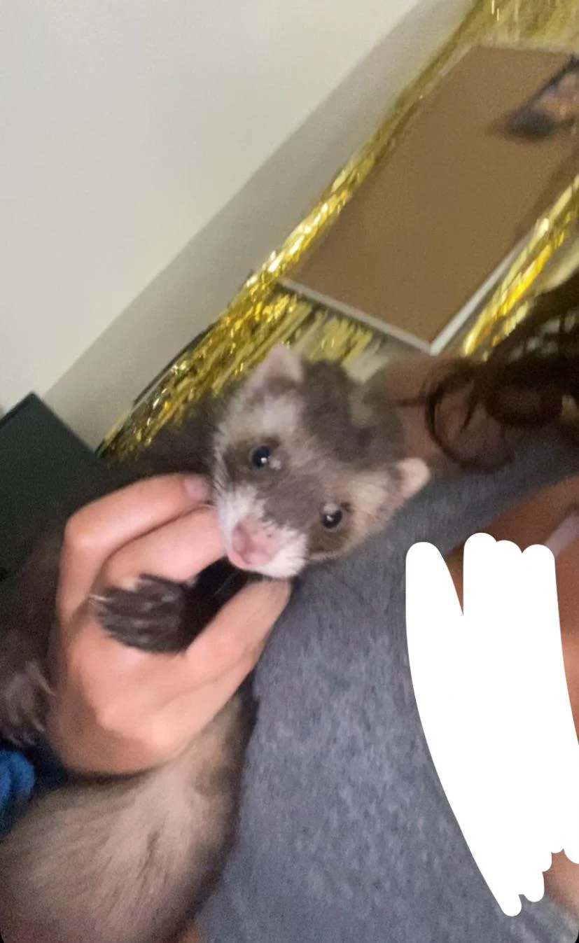 Little update! | Scrolller