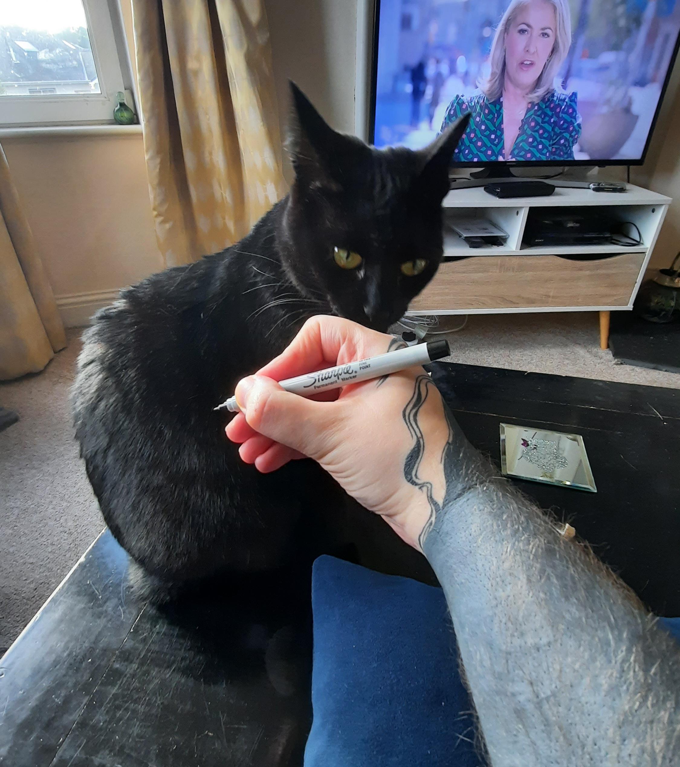 Finished | Scrolller