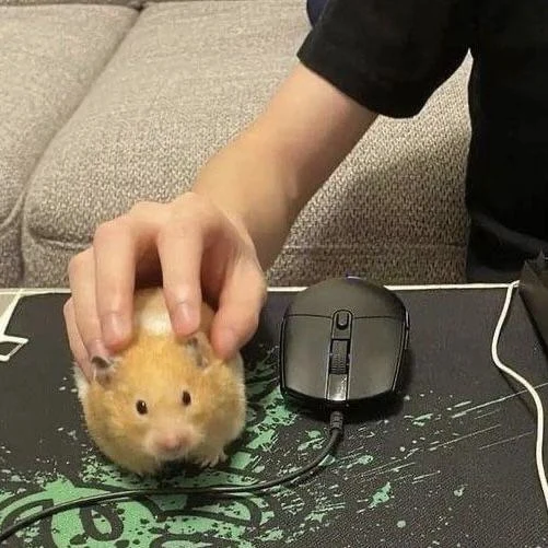Hamster upgrade | Scrolller