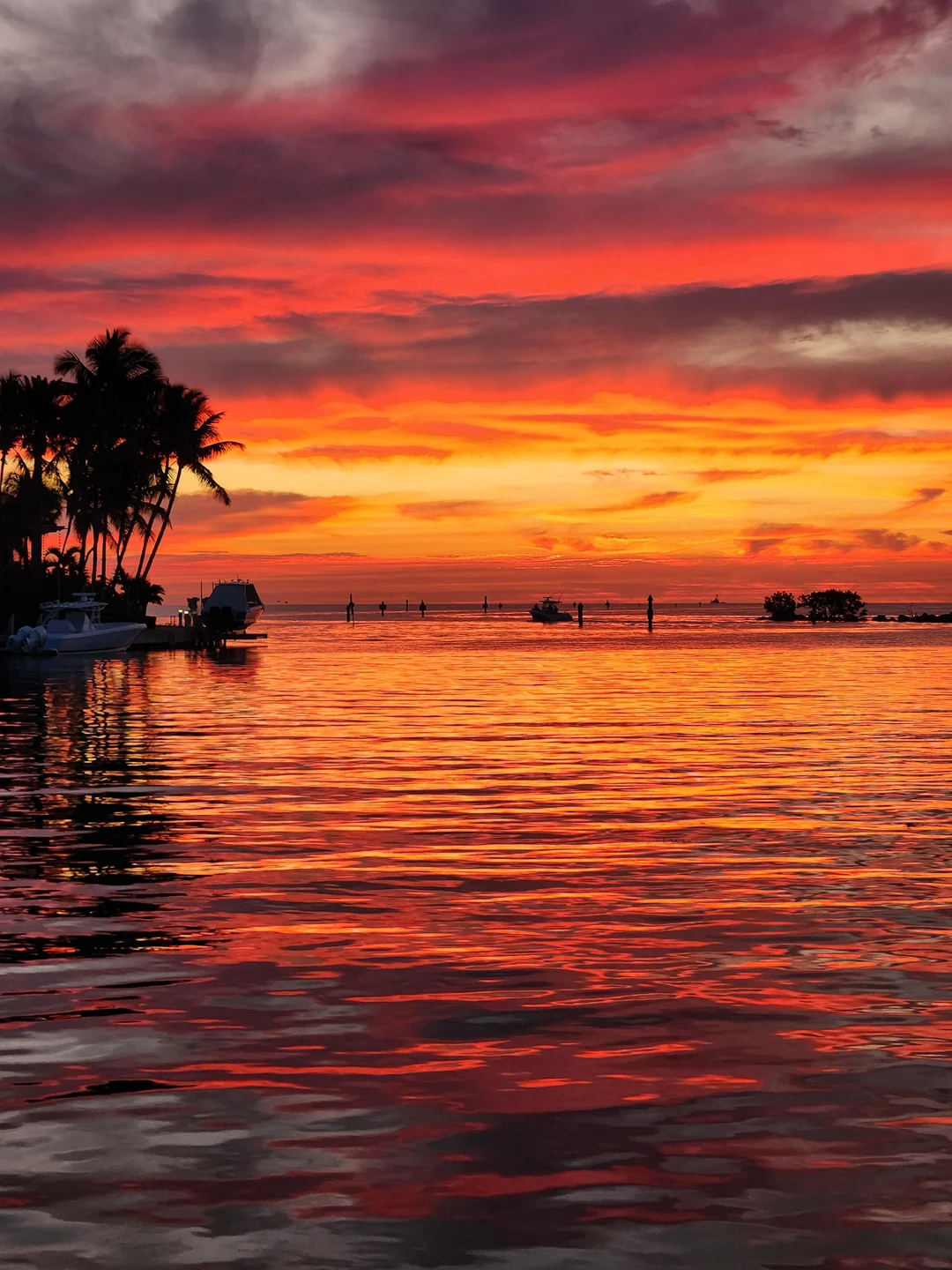Sunrise Key Largo | Scrolller