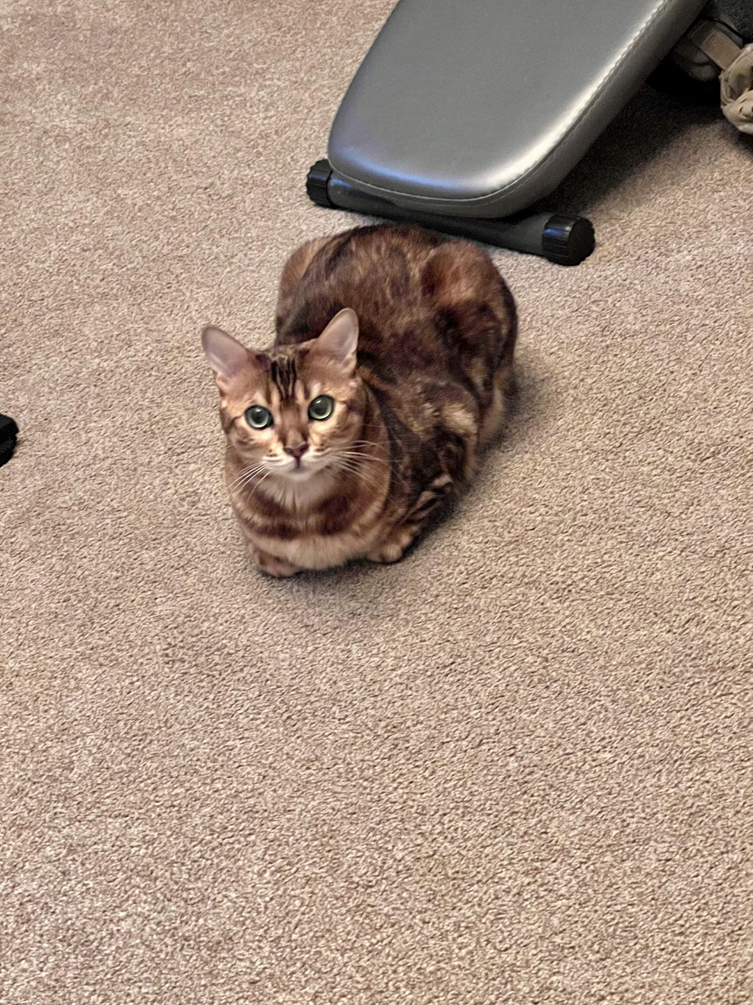 Big booty loaf | Scrolller