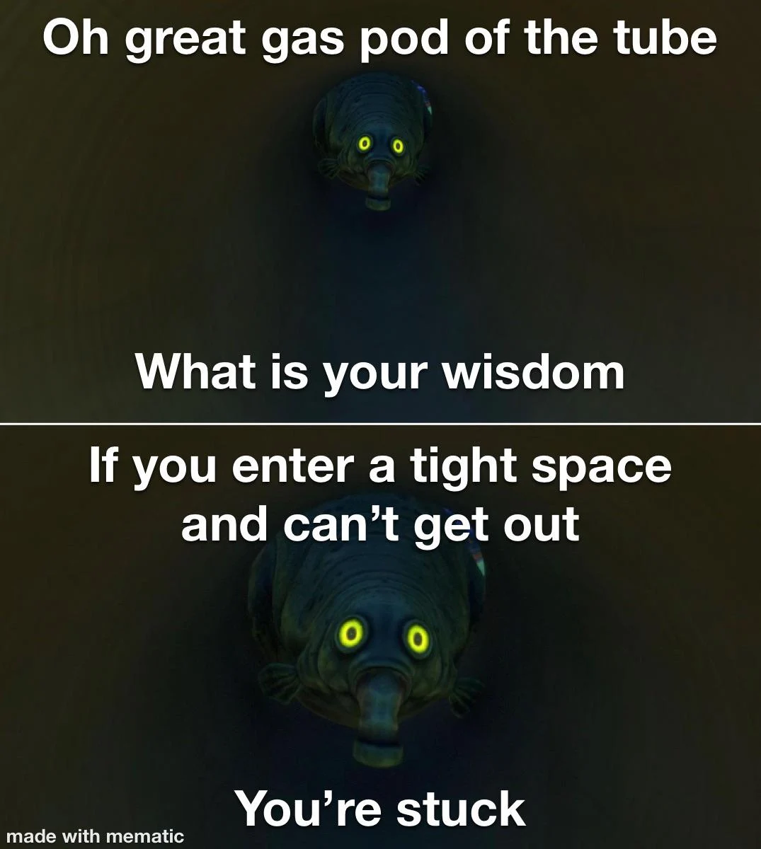 Some wisdom (no spoilers) | Scrolller