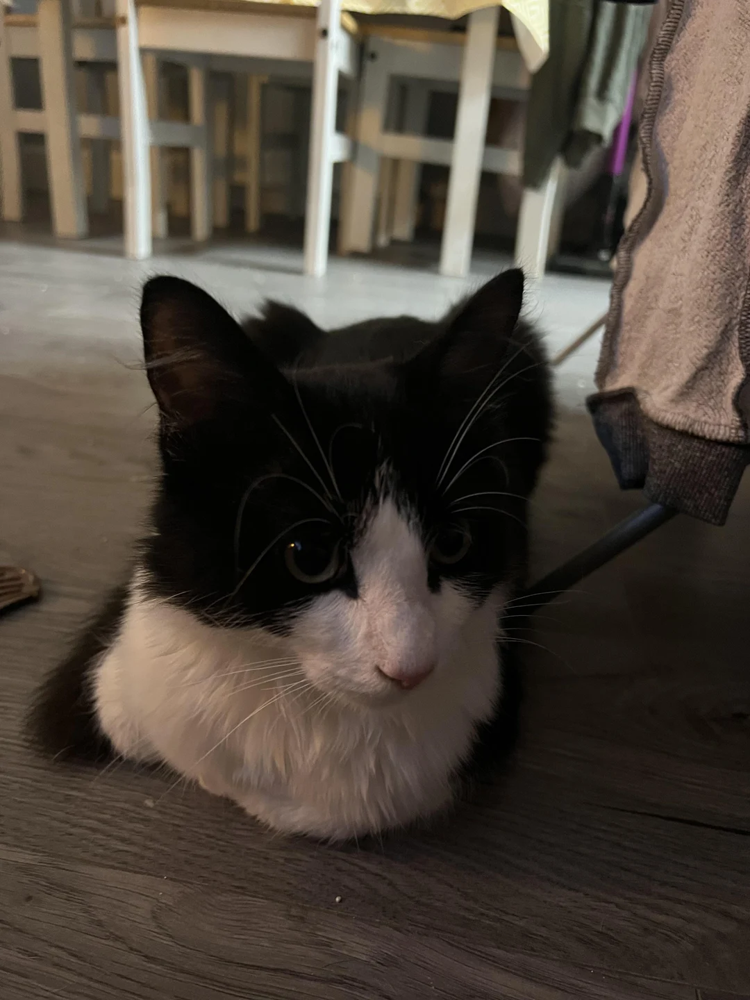 Loaf 🍞 | Scrolller