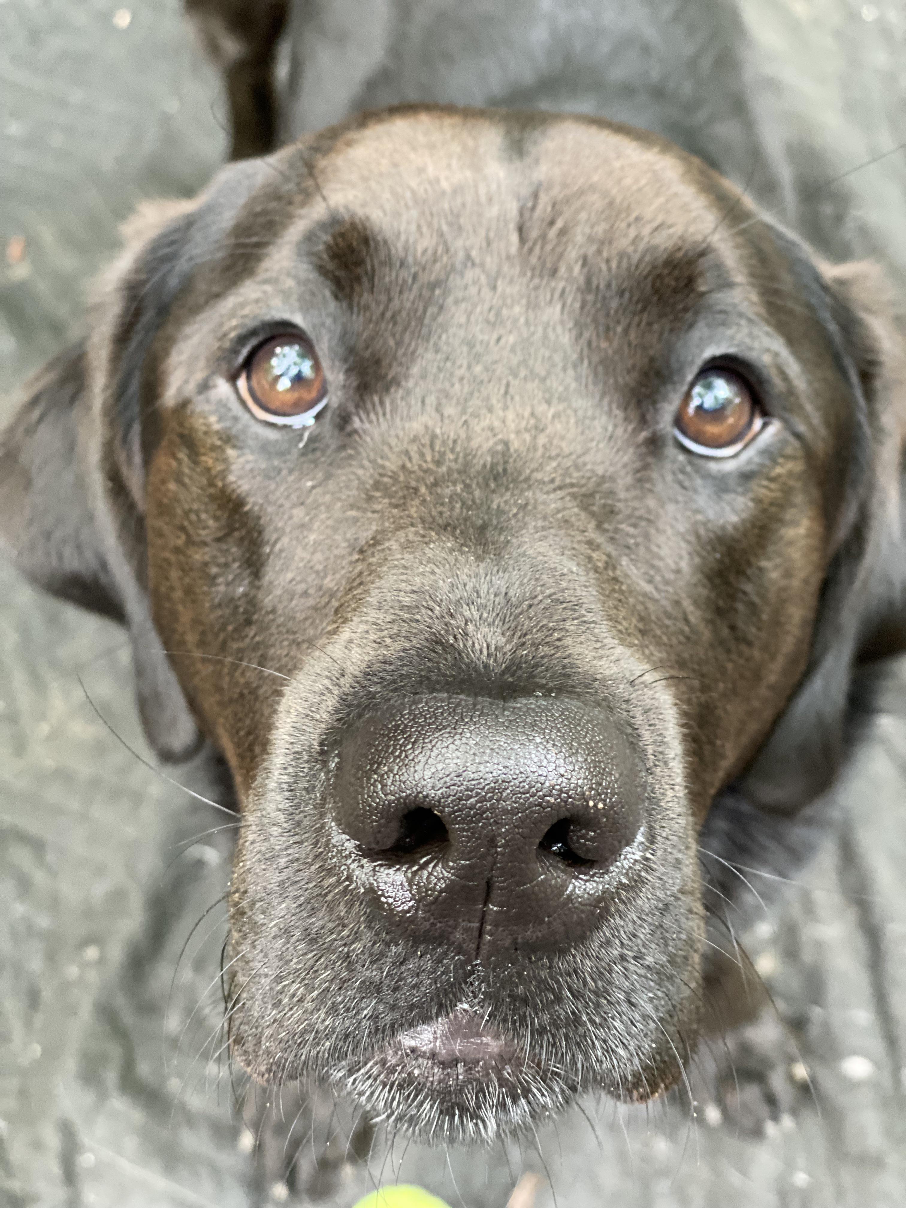 You must boop to continue scrolling | Scrolller