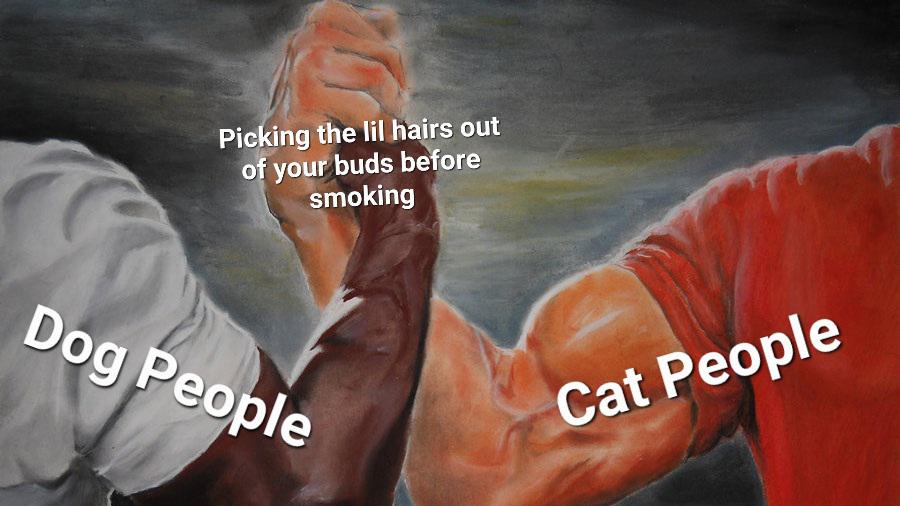 Common Ground | Scrolller