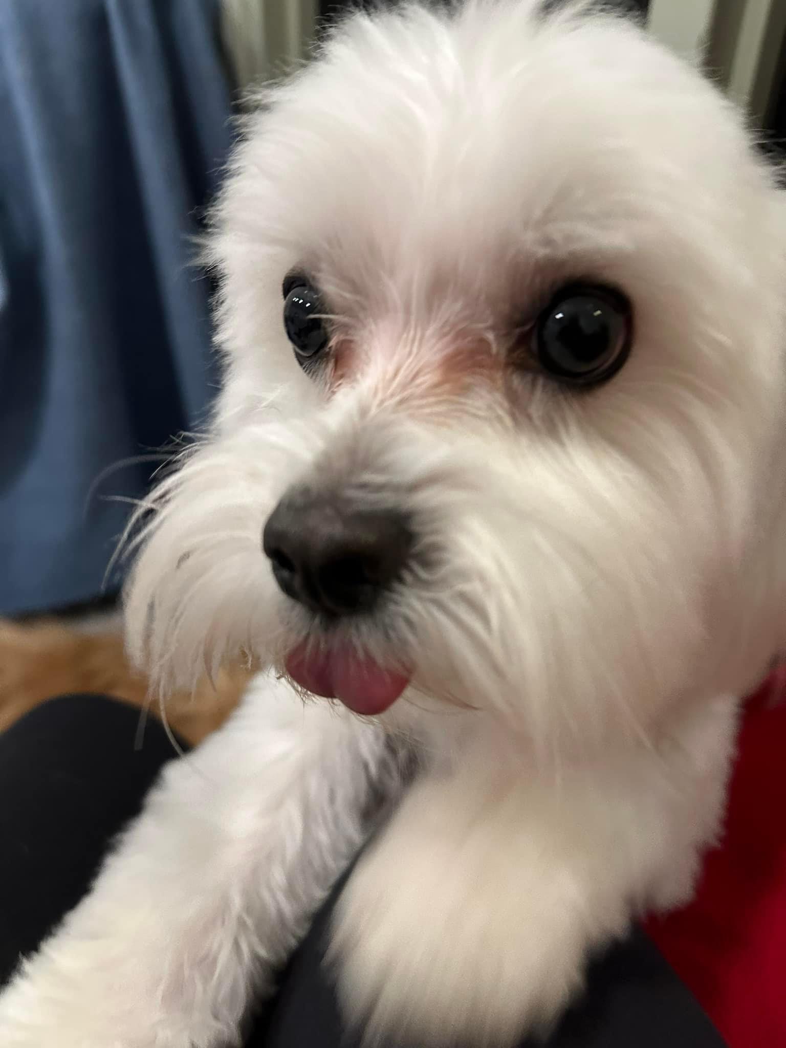 Cuteness Overload! | Scrolller