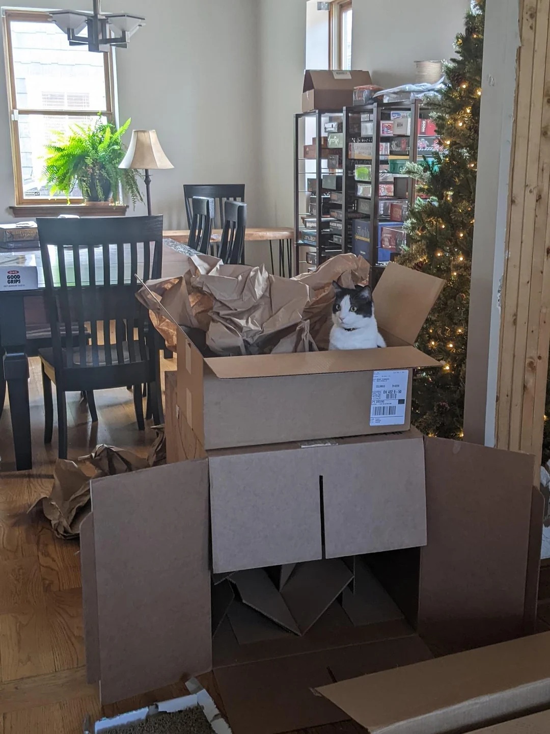 we are approaching box-ception! | Scrolller