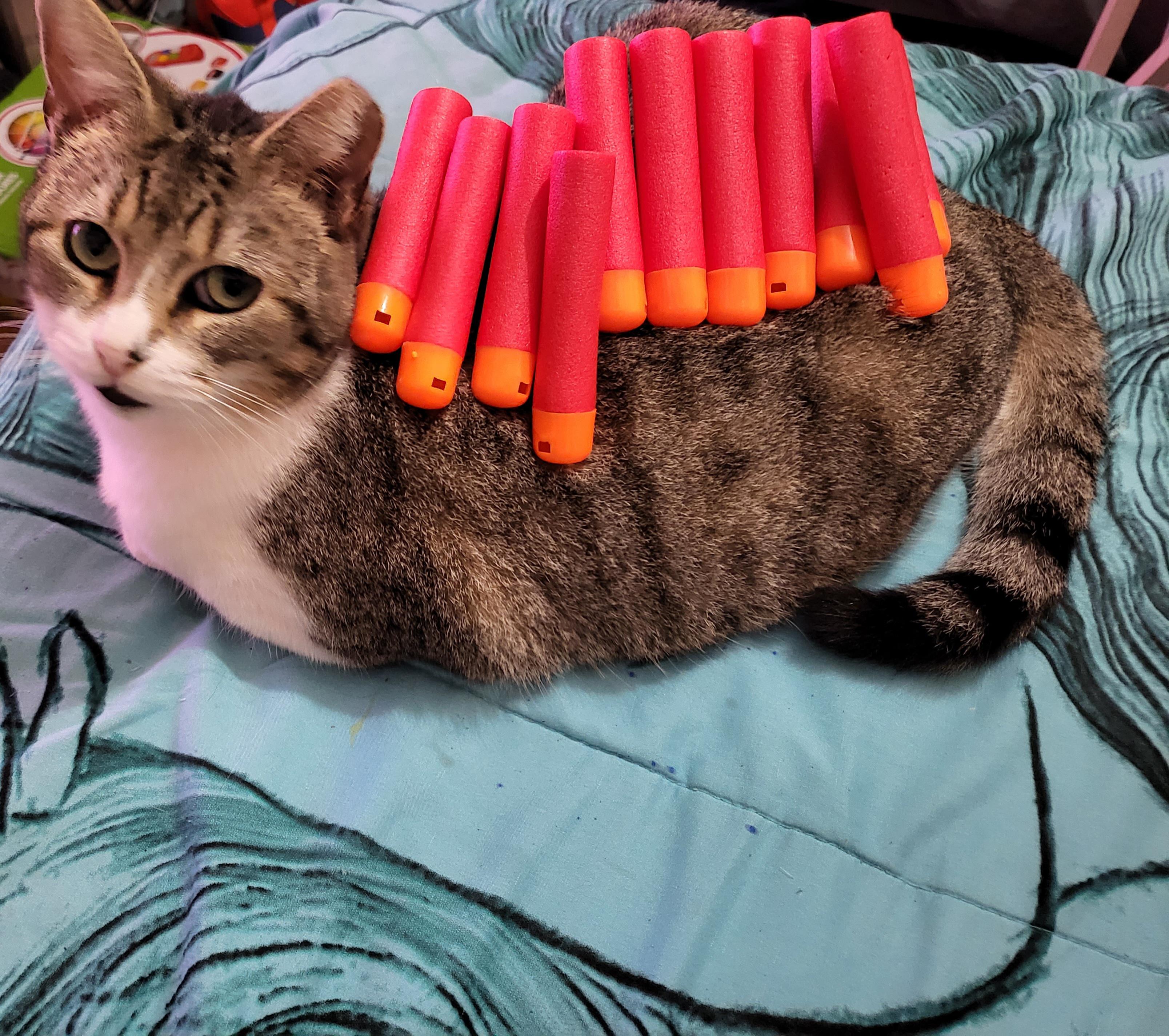 Nerf champion 🏆 | Scrolller