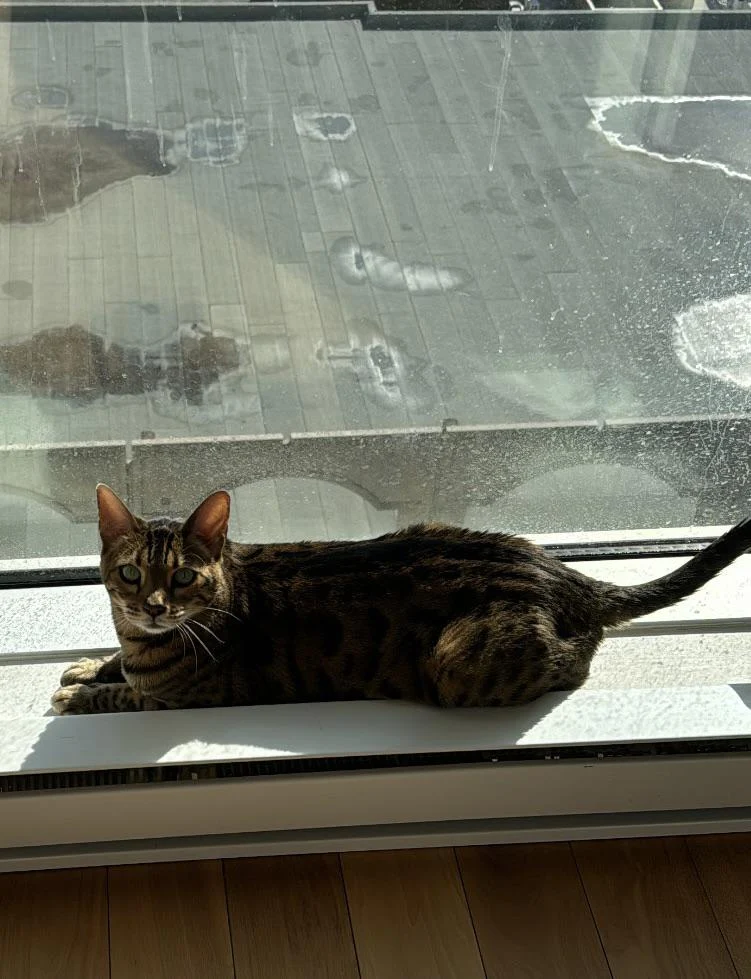 Last day in this sunbeam | Scrolller