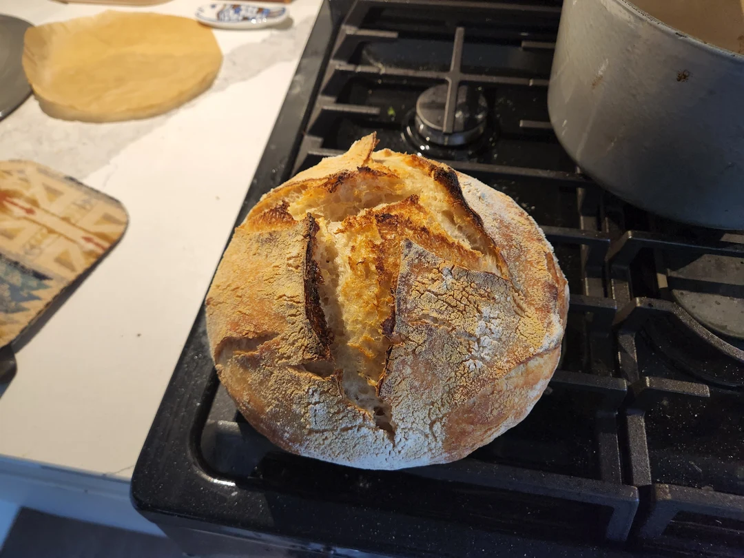 My first ever sourdough | Scrolller