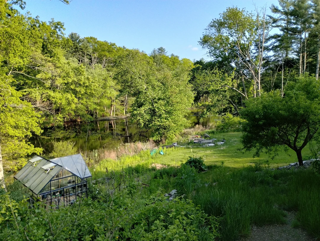 First house and experience my first cozy backyard spring in Quiet Corner of CT | Scrolller