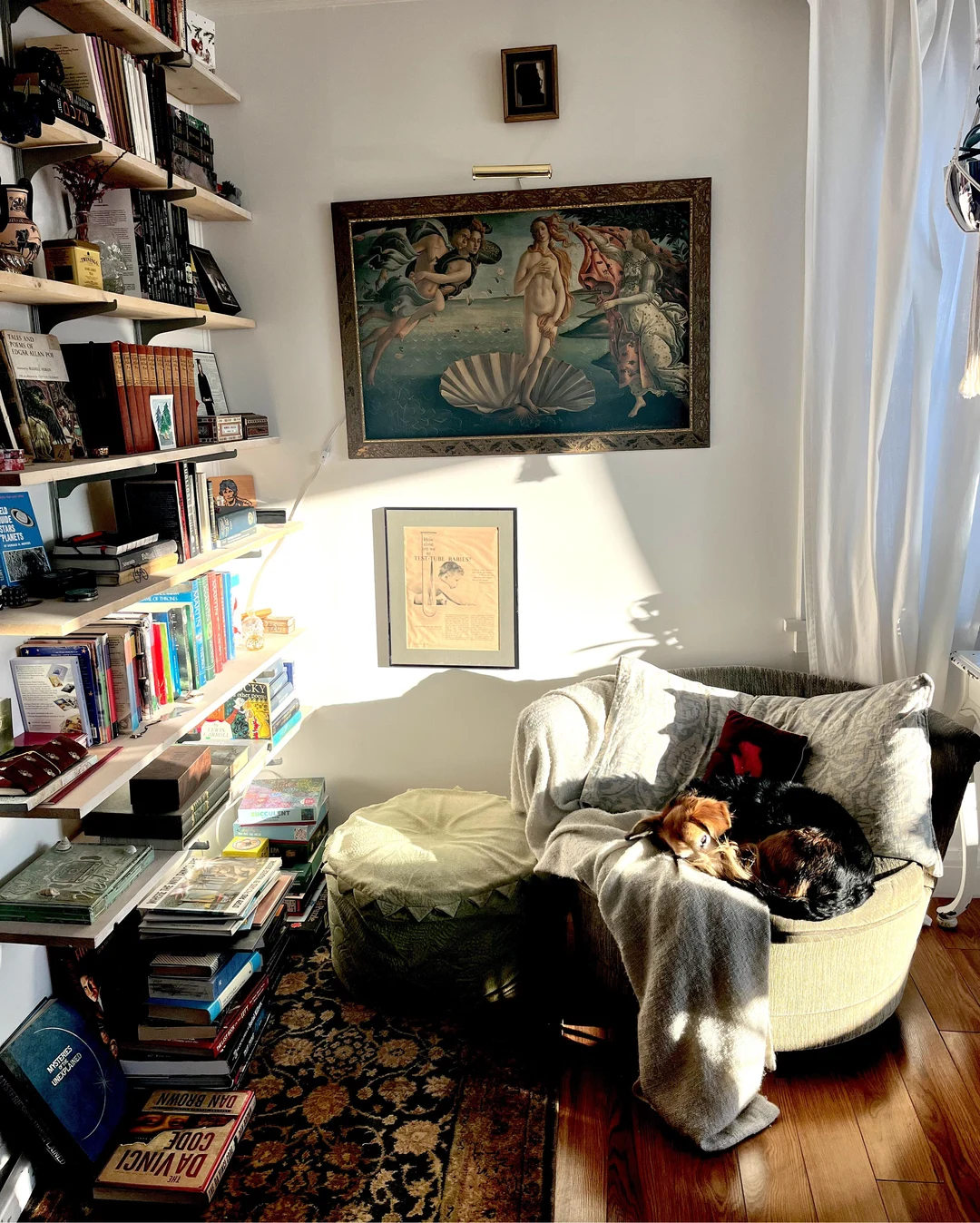 This is my Book Nook | Scrolller