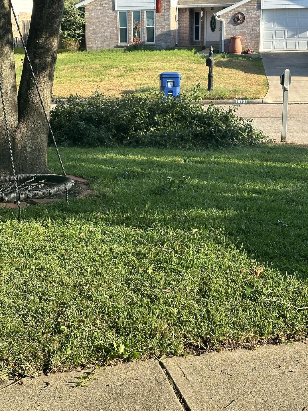 Someone in the household decided to cut branches from the tree | Scrolller