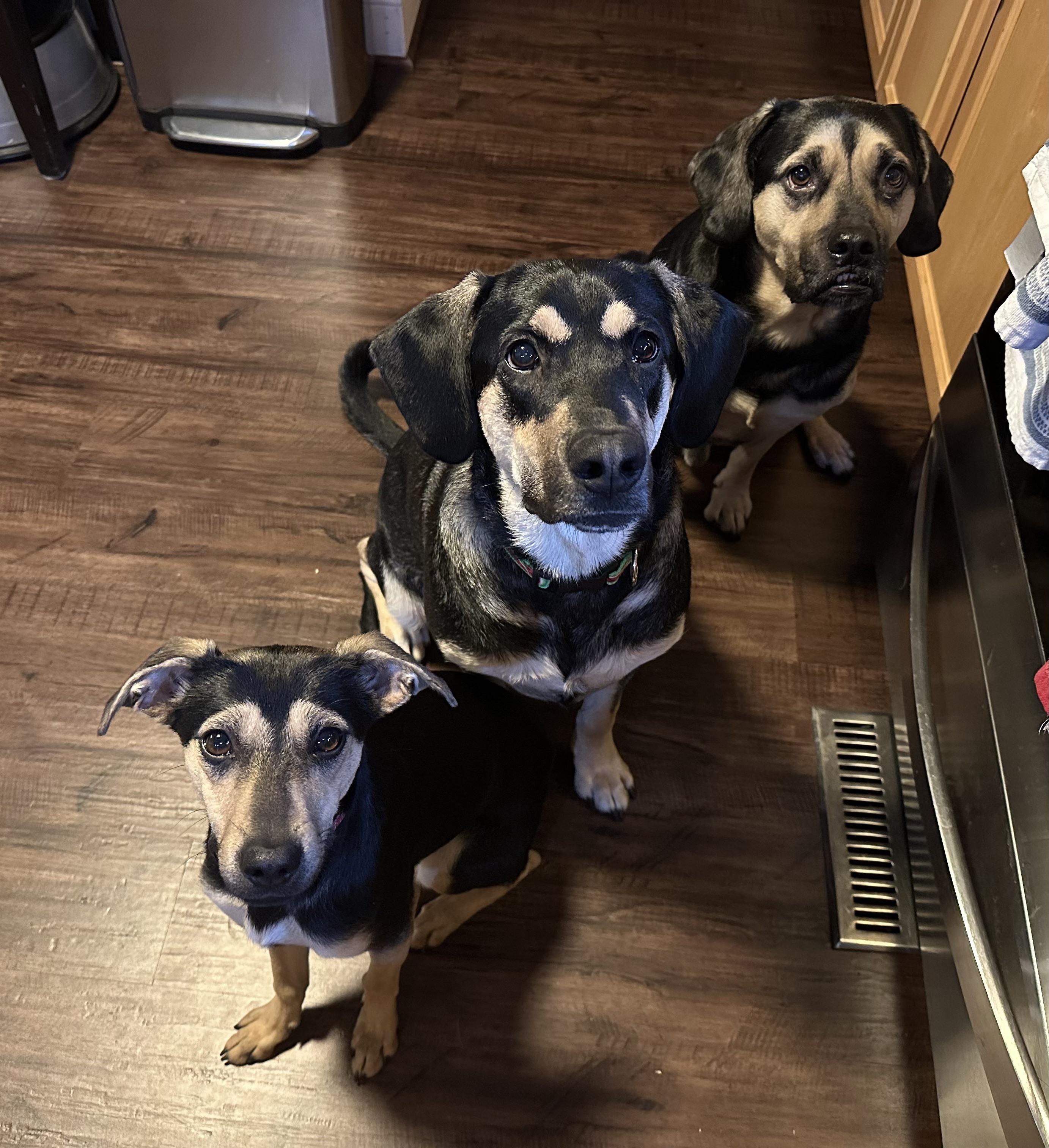 Eyebrows unite! | Scrolller