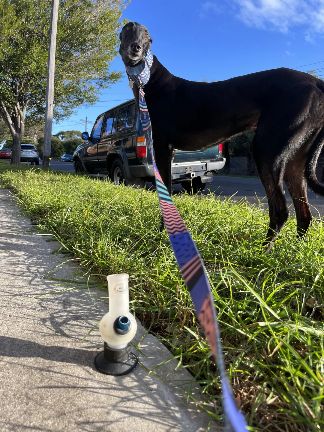 Snoop doggy walkies finds | Scrolller