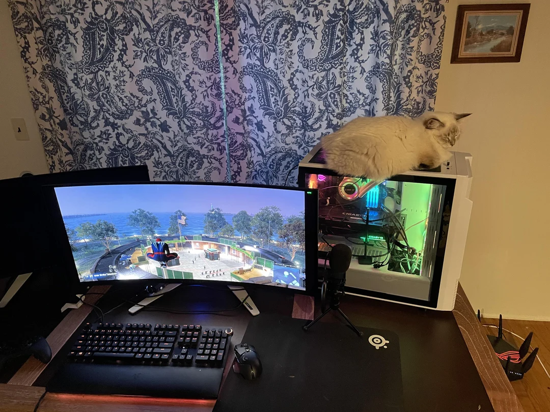 Keeping Siberian Cat off computer | Scrolller