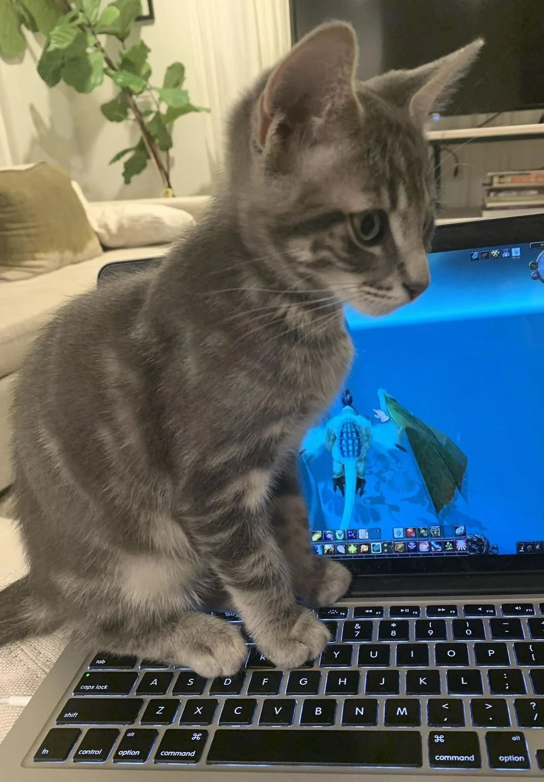 taken seconds before falling to my death | Scrolller