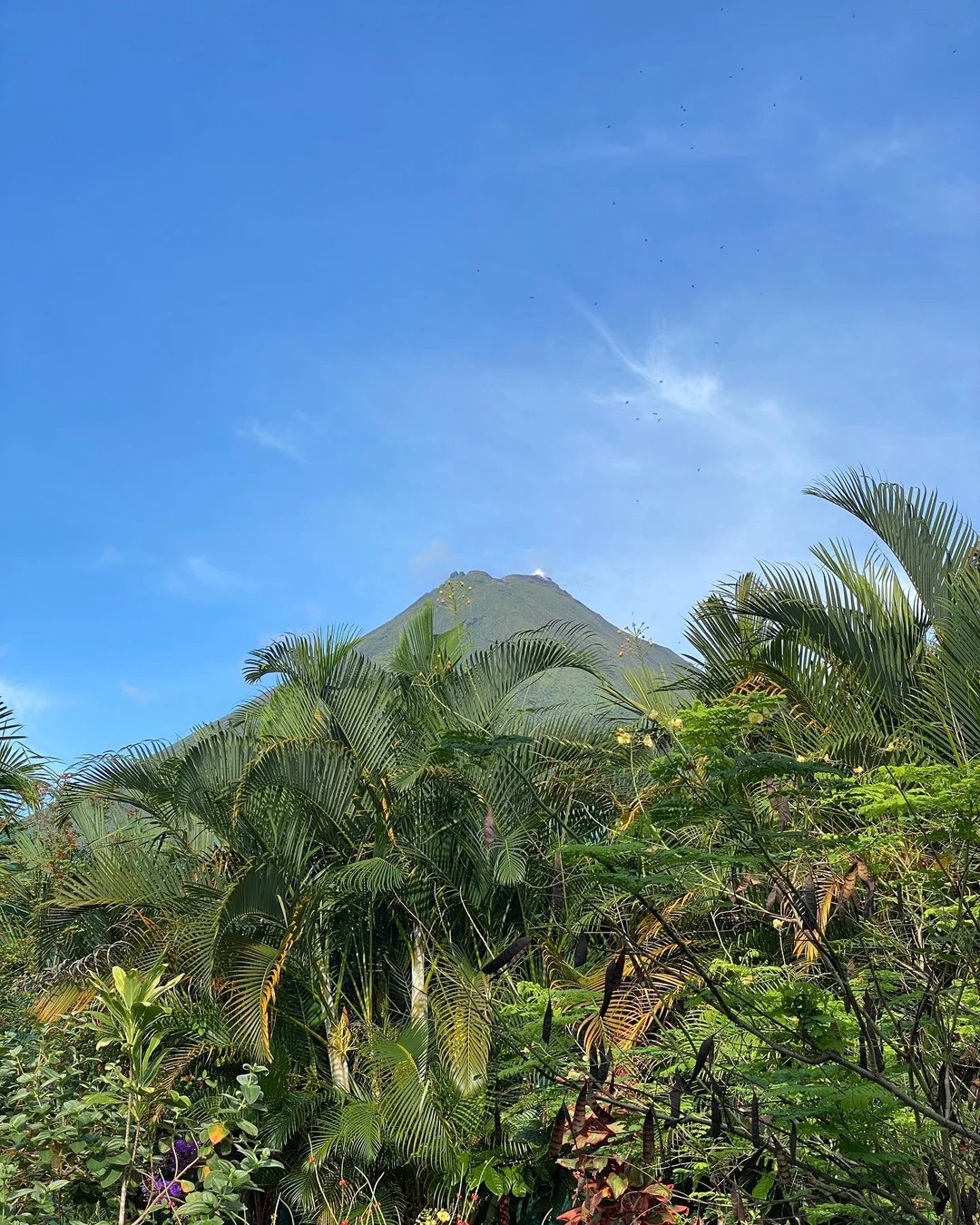 Costa Rica (Aug. 2022) | Scrolller