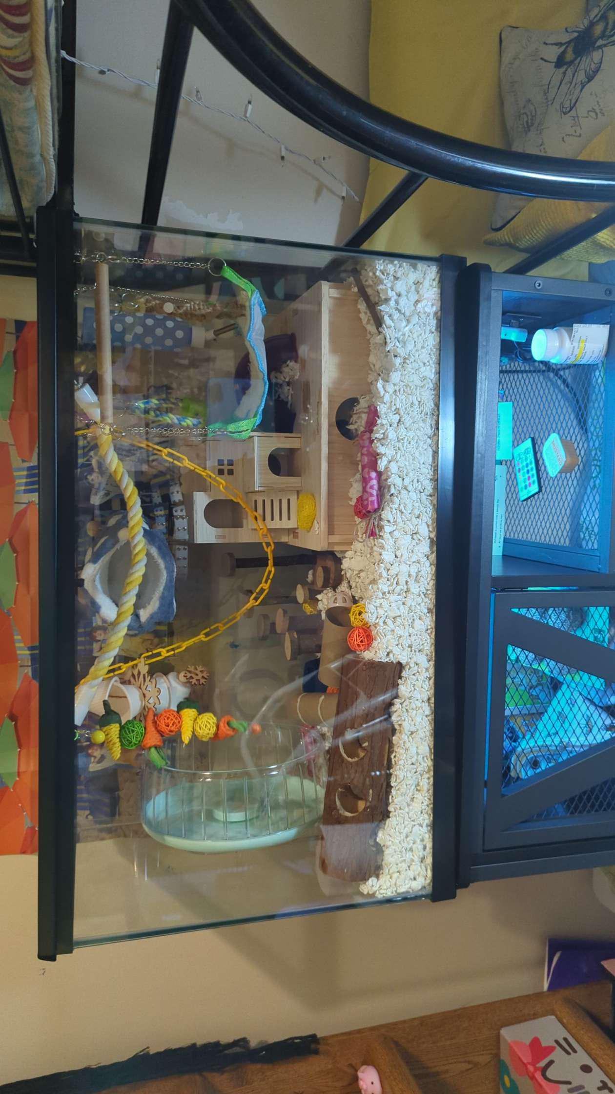 Final tank update | Scrolller