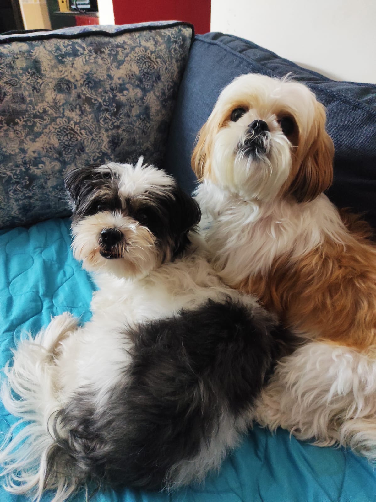 [OC]What's with the judgement? | Scrolller