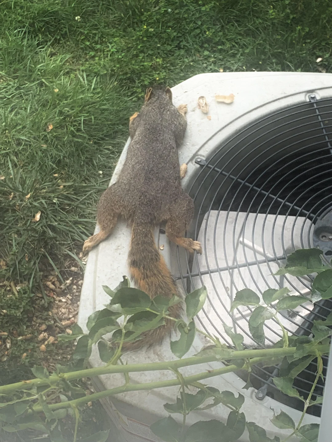 After snack sploot | Scrolller