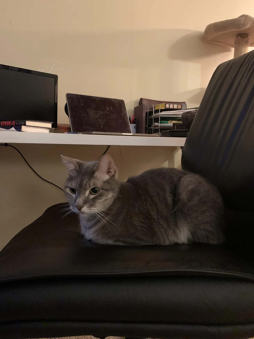 Working loaf | Scrolller