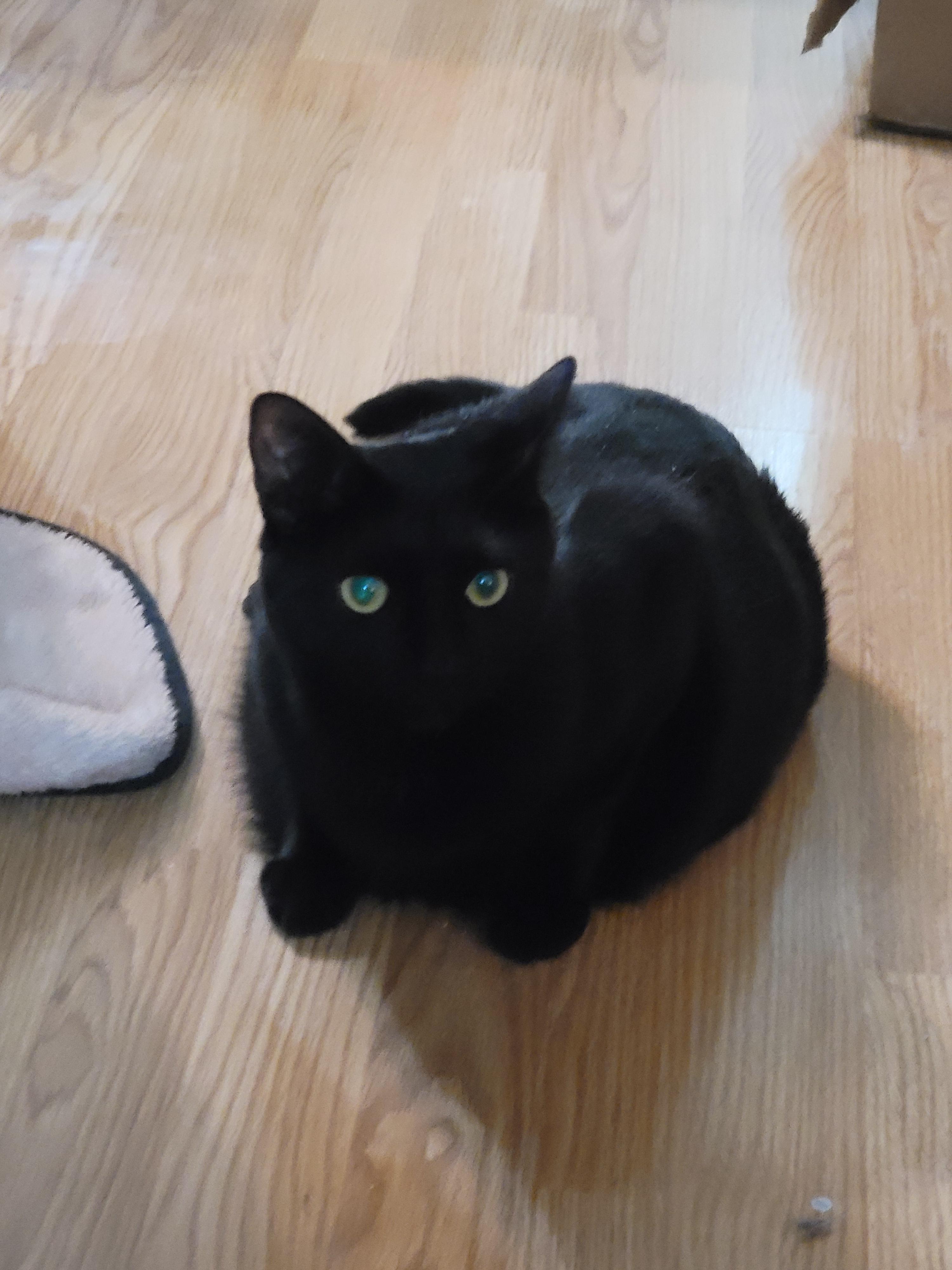 princess void...ruler of the home | Scrolller