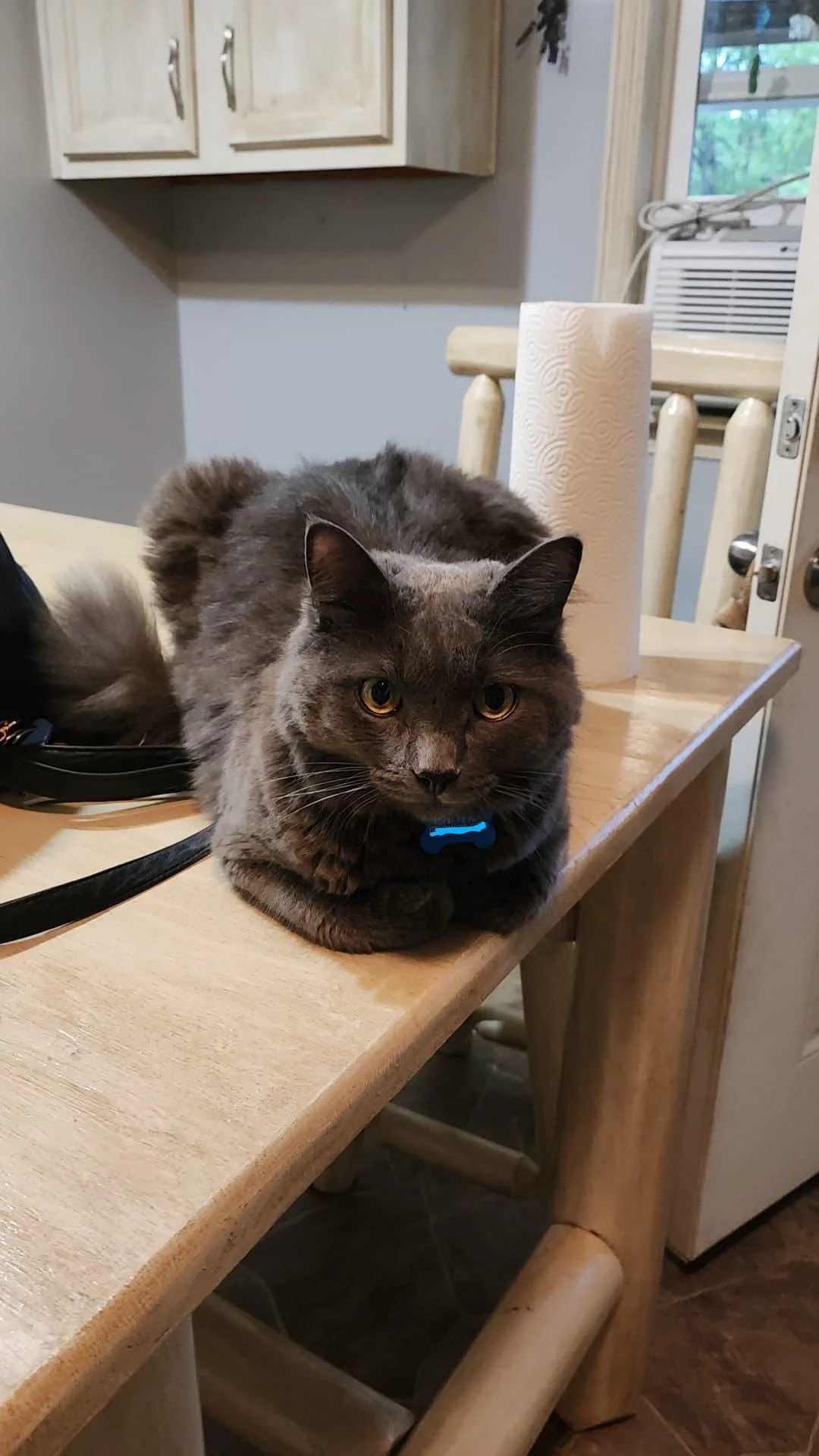 Polite loaf | Scrolller