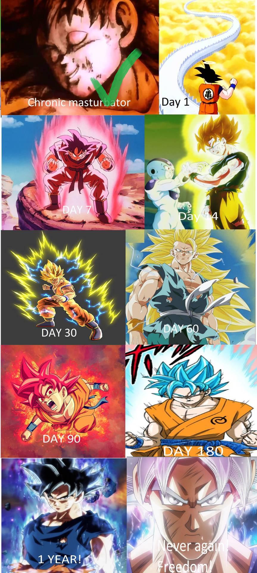 Day 0, completed | Scrolller