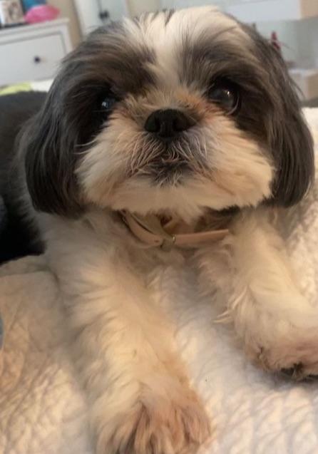 Treat suggestions? | Scrolller