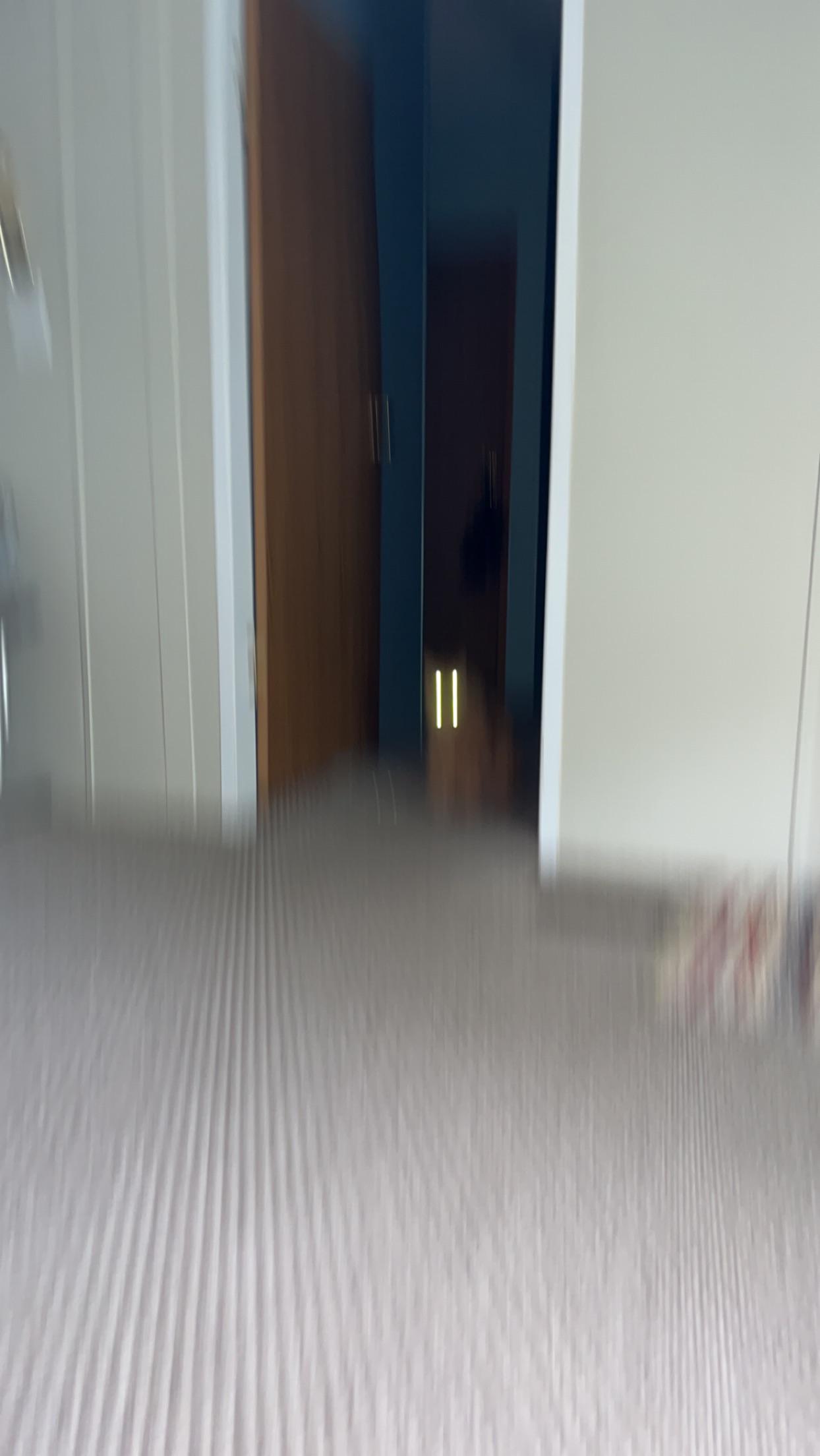 Blurry picture of a cat | Scrolller