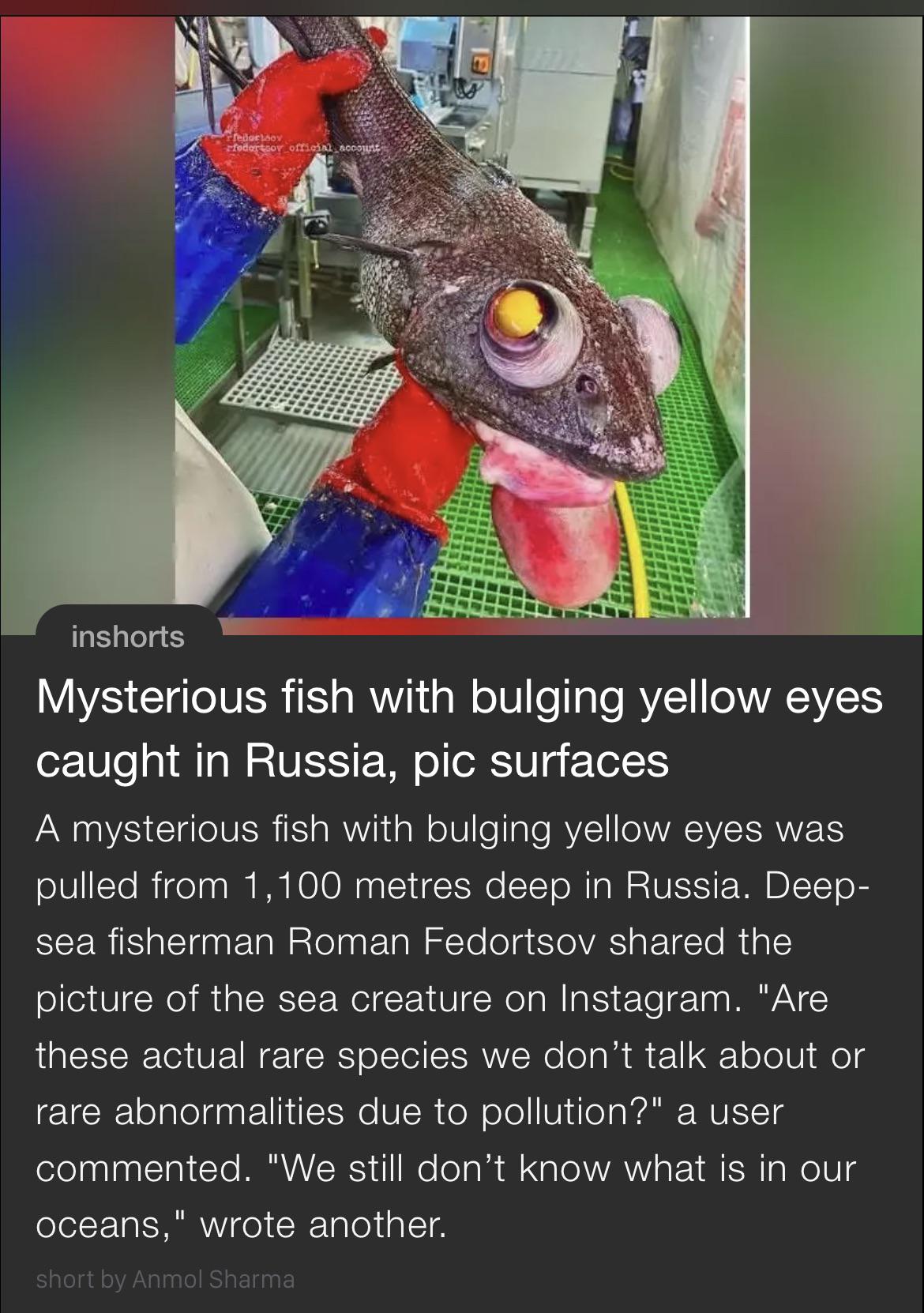 [No Spoilers] Peeper ? | Scrolller