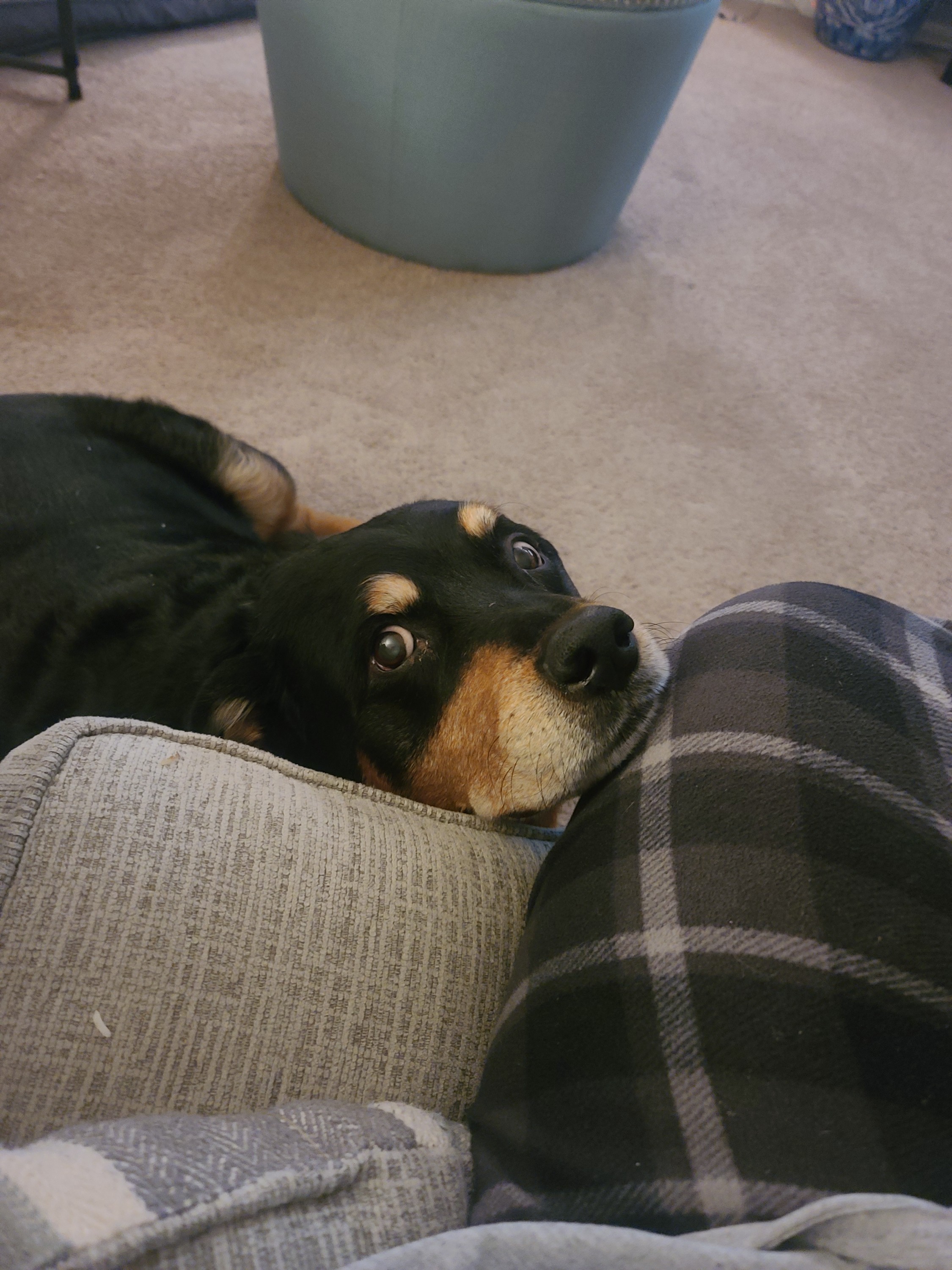 Bromance! | Scrolller