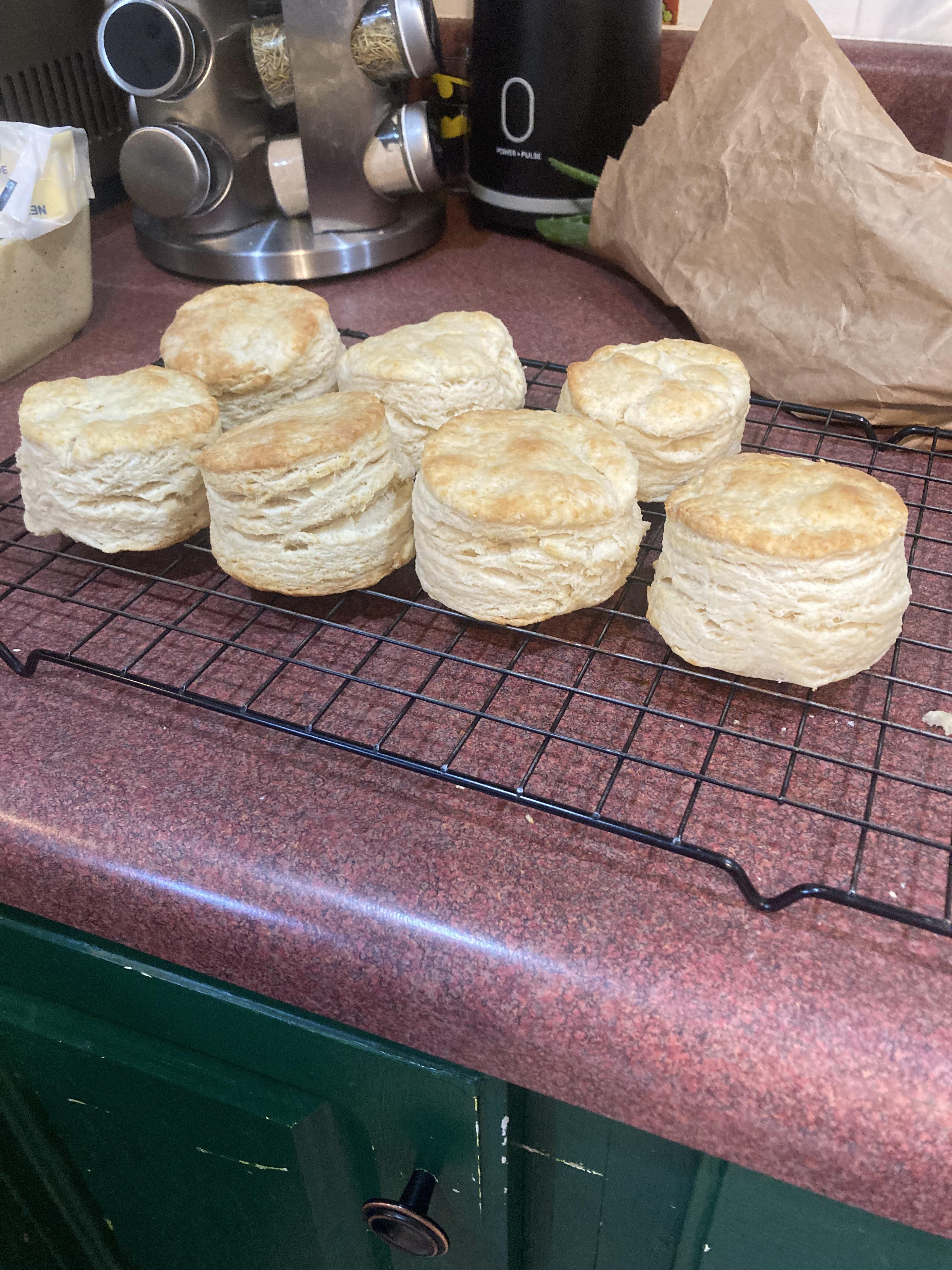 Best biscuits yet | Scrolller
