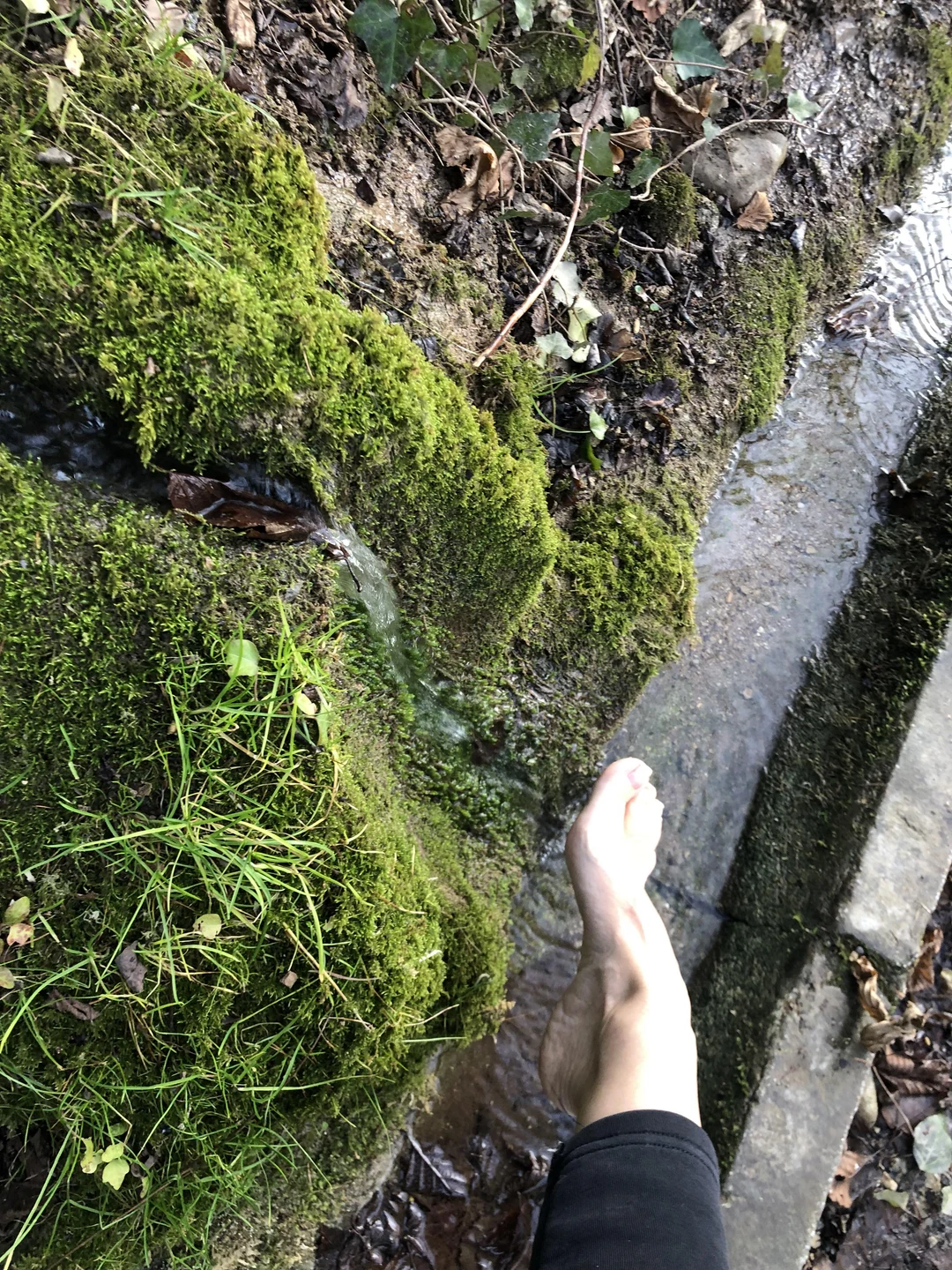 Nature..it's a bit cold | Scrolller