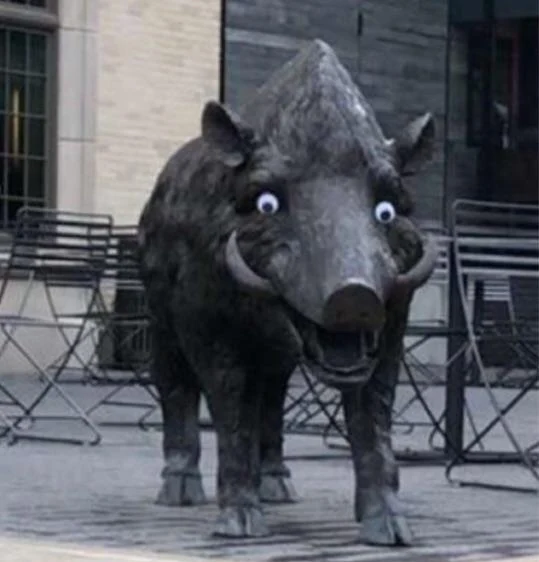 Someone put googly eyes on my schools mascot statue | Scrolller