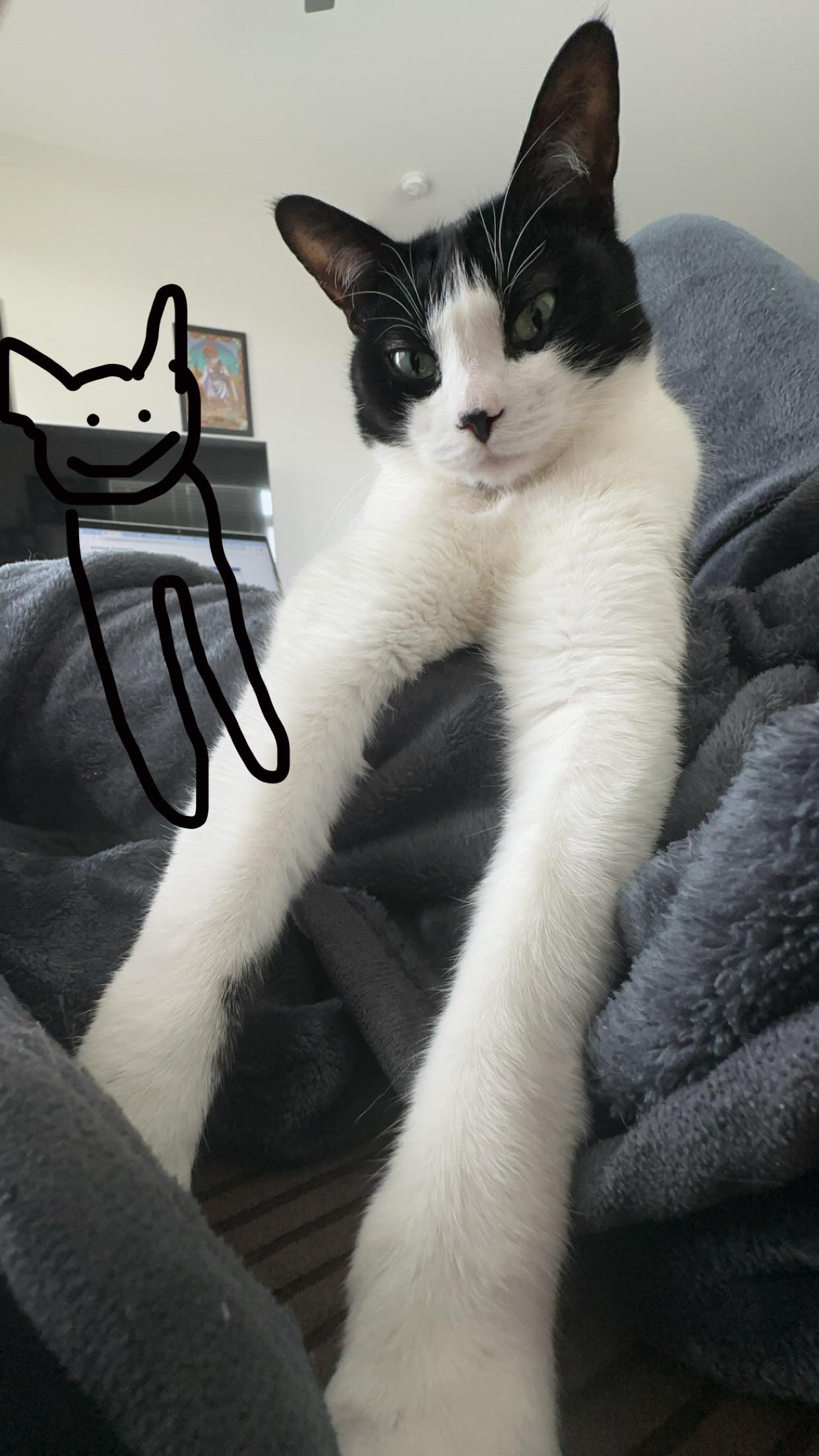 He sticks his leggy out real far | Scrolller