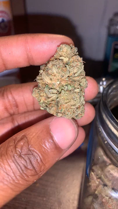 Platinum bubba🔥 | Scrolller