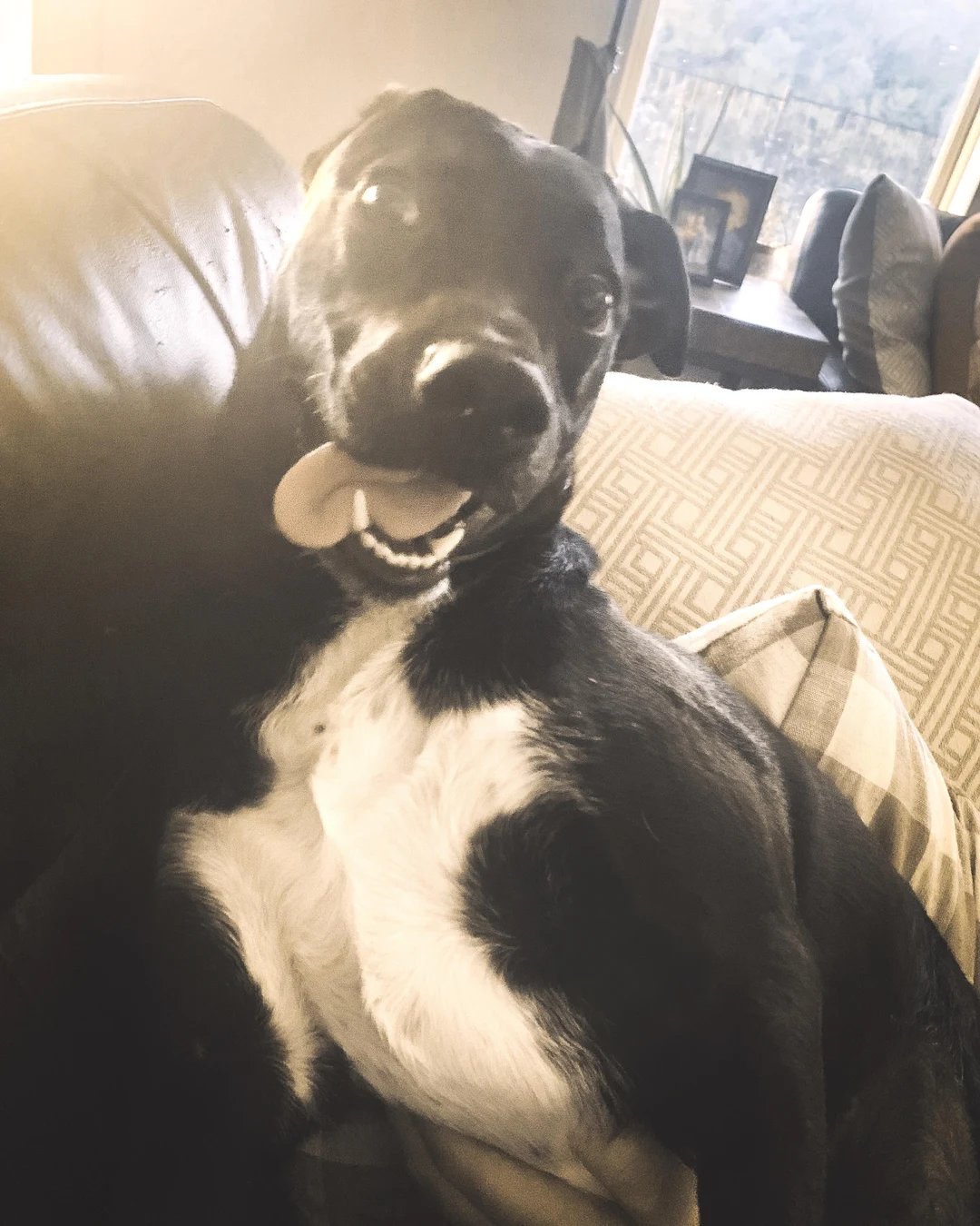 Another Derp | Scrolller