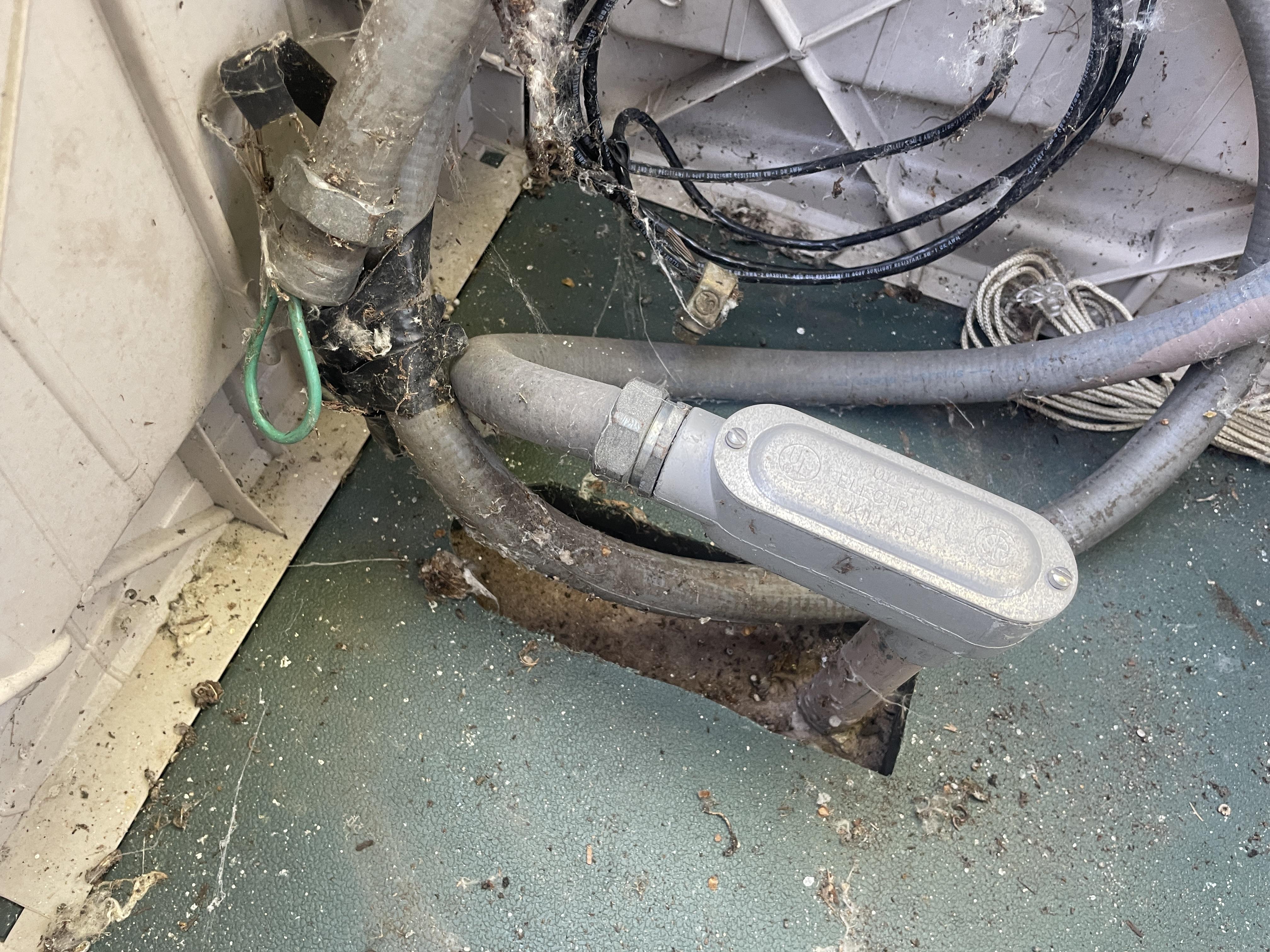 What is this in my backyard? | Scrolller