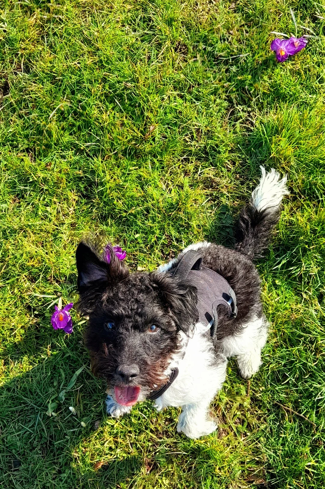 Throw the damn ball! | Scrolller